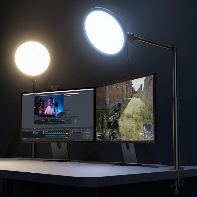 Our Review: Weilisi 10.2" Desk Ring Light for Perfect Video Calls ...
